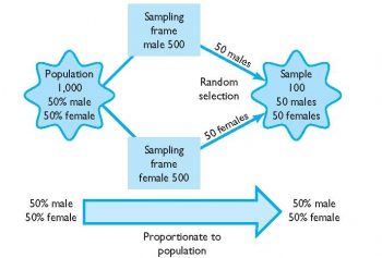 Chapter 3: Sampling Methods – Applied Research Methods in Criminal ...