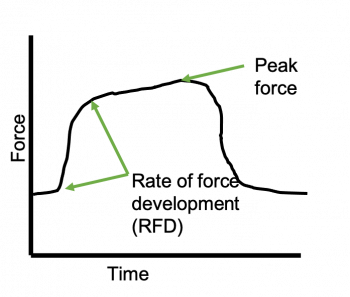 Physical Fitness Testing – Quantitative Analysis in Exercise and Sport ...