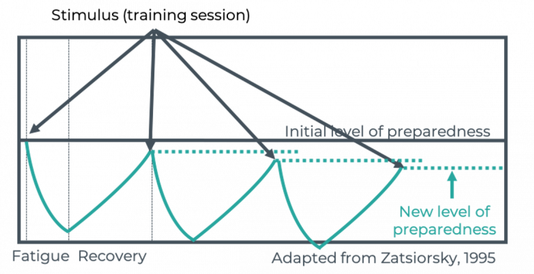 Sport Performance Assessment – Quantitative Analysis in Exercise and ...
